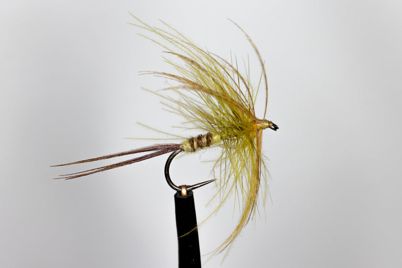 Philip White Mayflies - Mallon & Green